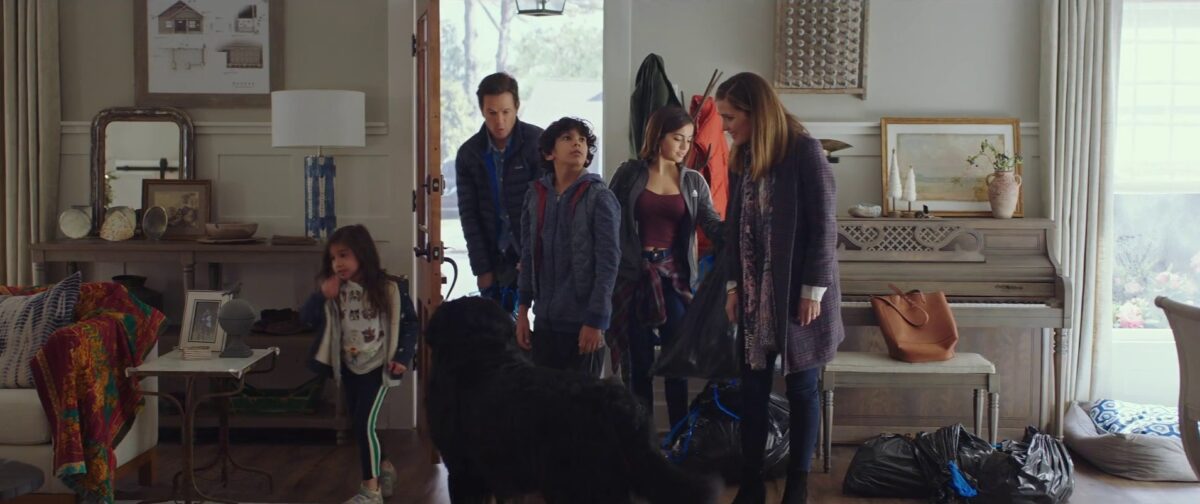 Instant Family, la storia vera che ha ispirato il film | CultWeb.it Instant Family, la storia vera che ha ispirato il film | CultWeb.it